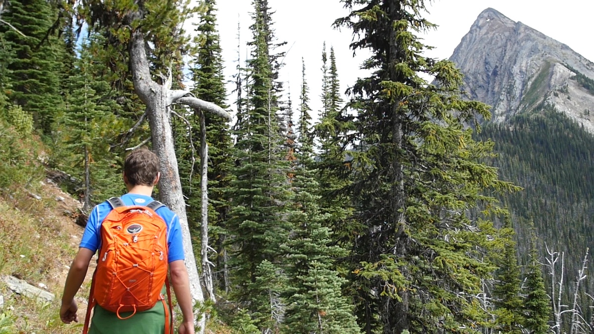 Mount Loki – ESTBA